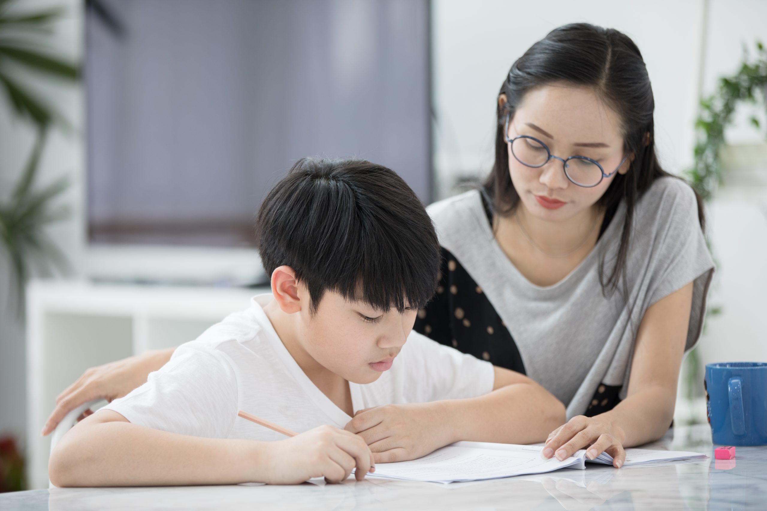 3 Ways of Revising for the PSLE 2021