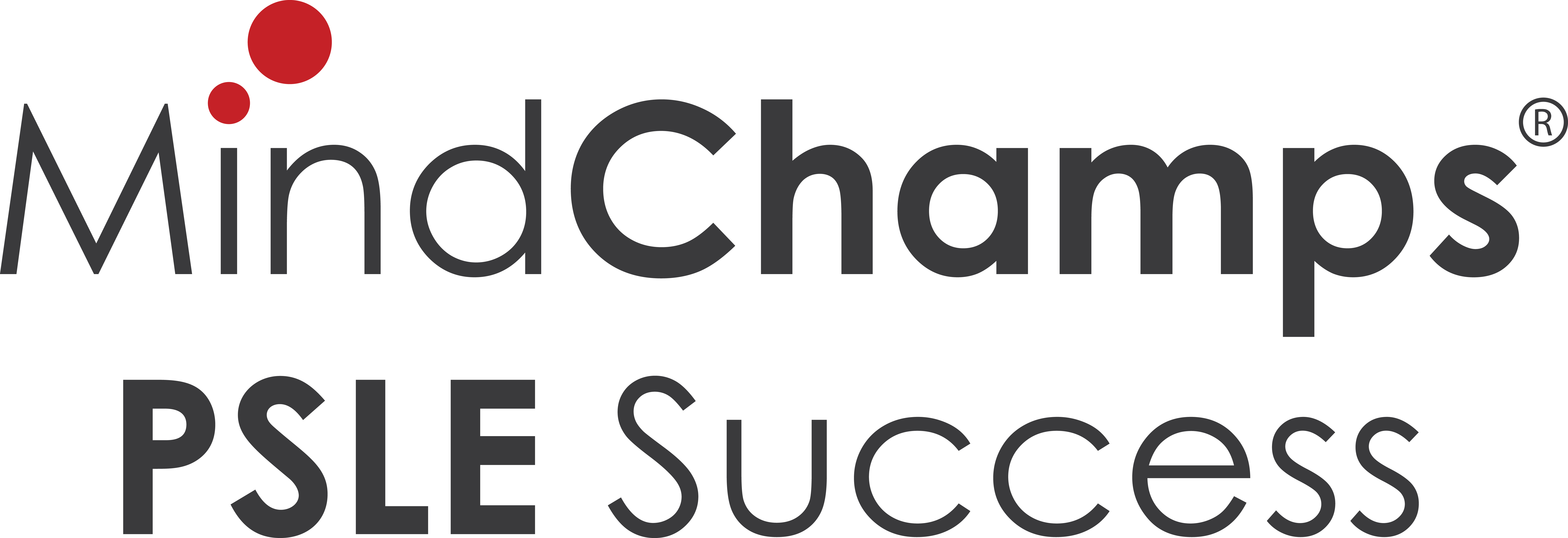 PSLE intake | MindChamps Enrichment